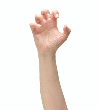 Fraught Images – Browse 411 Stock Photos, Vectors, and Video | Adobe Stock