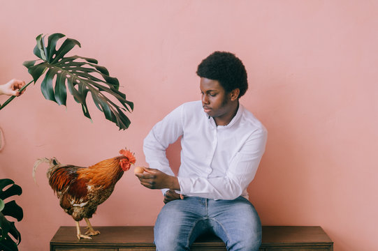 Black Guy With Chicken