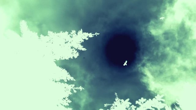 "Black Sun" Images – Browse 183 Stock Photos, Vectors, and Video ...