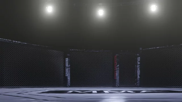 Ufc Octagon Background