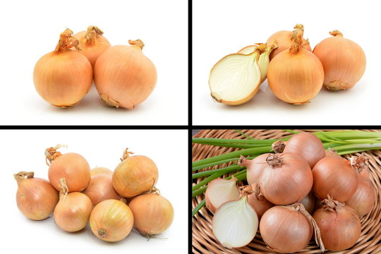 Cebula bilder – Bläddra bland 5,869 stockfoton, vektorer och videor ...