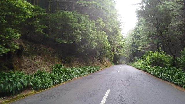 Poiso Images – Browse 197 Stock Photos, Vectors, and Video | Adobe Stock