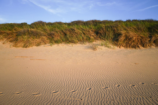 Strandt Images – Browse 30 Stock Photos, Vectors, and Video | Adobe Stock