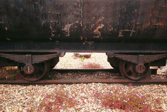 Kohlewagen Images – Browse 48 Stock Photos, Vectors, and Video | Adobe ...