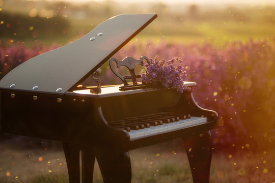Spring Piano Bilder – Durchsuchen 6,311 Archivfotos, Vektorgrafiken und ...