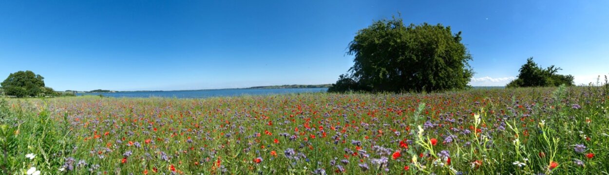 Panoramafoto 이미지 – 찾아보기 4,175 스톡 사진, 벡터 및 비디오 | Adobe Stock