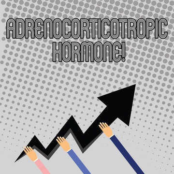 รูปภาพActh – เลือกดูภาพถ่ายสต็อก เวกเตอร์ และวิดีโอ478 | Adobe Stock