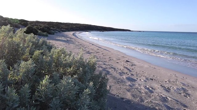 Saltbush Images – Browse 429 Stock Photos, Vectors, and Video | Adobe Stock
