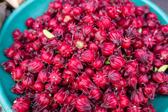 Bissap - Images et vidéos libres de droits | Adobe Stock