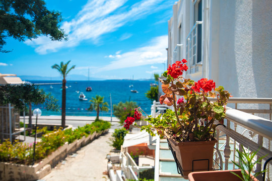 Bodrum bilder – Bläddra bland 19,797 stockfoton, vektorer och videor ...