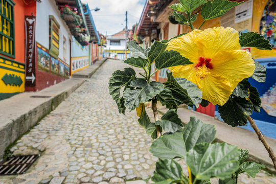 รูปภาพZocalos – เลือกดูภาพถ่ายสต็อก เวกเตอร์ และวิดีโอ138 | Adobe Stock