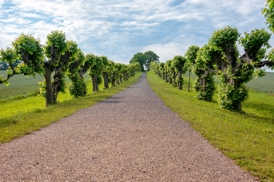 รูปภาพSandweg – เลือกดูภาพถ่ายสต็อก เวกเตอร์ และวิดีโอ1,099 | Adobe Stock