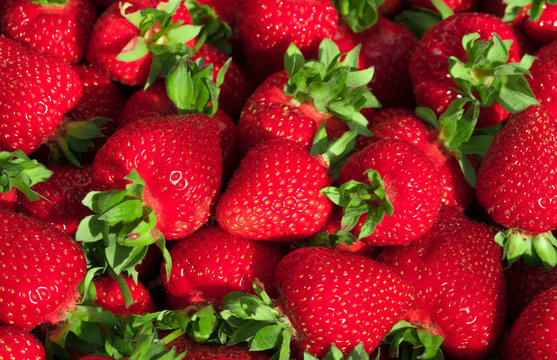 "Strawberry Background" Images – Browse 3,338 Stock Photos, Vectors ...