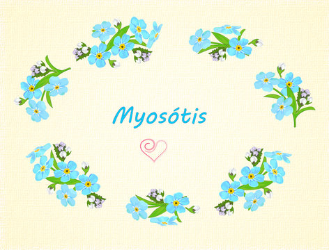 Myostis-Bilder: Stock-Fotos & -Videos. | Adobe Stock