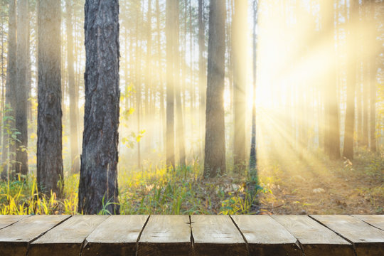 รูปภาพSundawn – เลือกดูภาพถ่ายสต็อก เวกเตอร์ และวิดีโอ998 | Adobe Stock