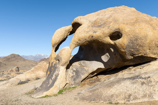 รูปภาพCyclop – เลือกดูภาพถ่ายสต็อก เวกเตอร์ และวิดีโอ9,031 | Adobe Stock