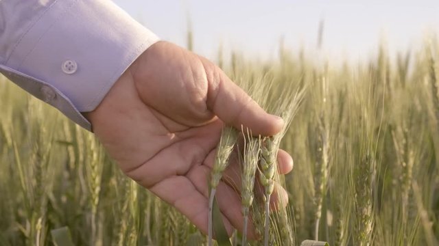 รูปภาพAgronome – เลือกดูภาพถ่ายสต็อก เวกเตอร์ และวิดีโอ549 | Adobe Stock