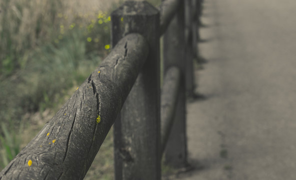 34 BEST Femce IMAGES, STOCK PHOTOS & VECTORS | Adobe Stock