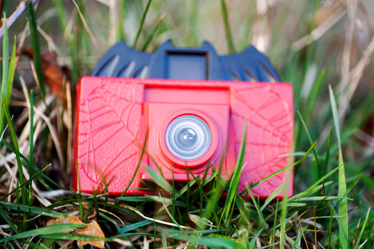 Creatsy Images – Browse 49 Stock Photos, Vectors, and Video | Adobe Stock