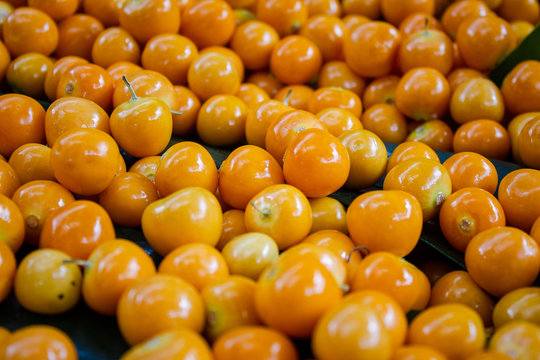 Uchuba Images – Browse 47 Stock Photos, Vectors, and Video | Adobe Stock