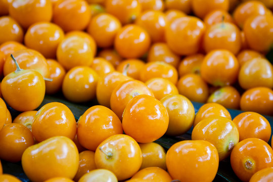 Uchuba Images – Browse 47 Stock Photos, Vectors, and Video | Adobe Stock