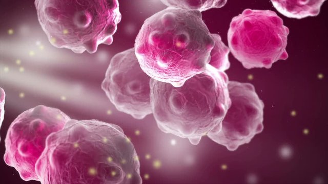 Cancerogenic 이미지 – 찾아보기 180 스톡 사진, 벡터 및 비디오 | Adobe Stock