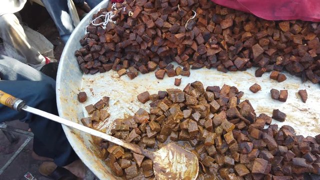 Bakra Video Footage – Browse 24 HD Stock Video and Footage | Adobe Stock