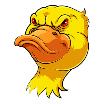 Angry Duck Cartoon
