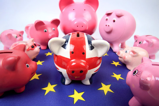 Suide Bilder – Durchsuchen 31 Archivfotos, Vektorgrafiken und Videos ...