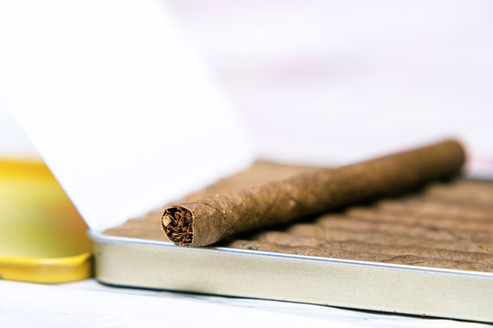 Cigarillo 이미지 – 찾아보기 2,812 스톡 사진, 벡터 및 비디오 | Adobe Stock