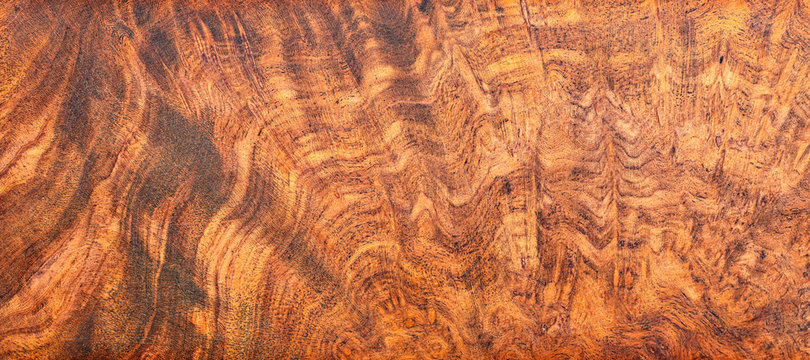 Padauk Images – Browse 41 Stock Photos, Vectors, and Video | Adobe Stock