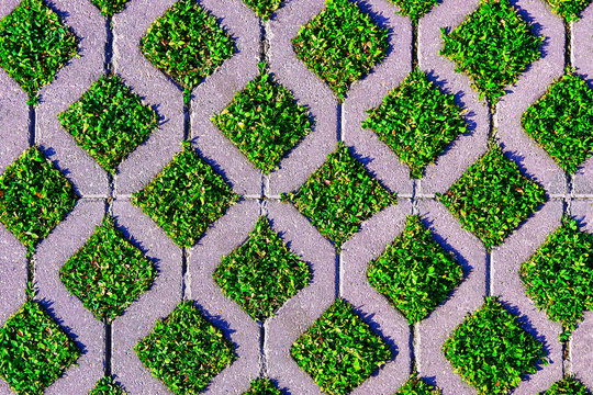 Pavers 画像 - 参照 36,028 Stock 写真、ベクターおよびビデオ | Adobe Stock