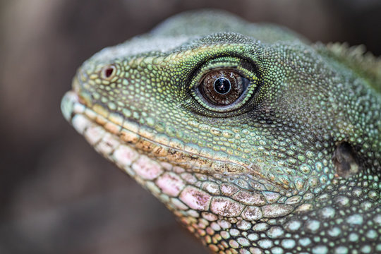 รูปภาพWasseragame – เลือกดูภาพถ่ายสต็อก เวกเตอร์ และวิดีโอ166 | Adobe Stock