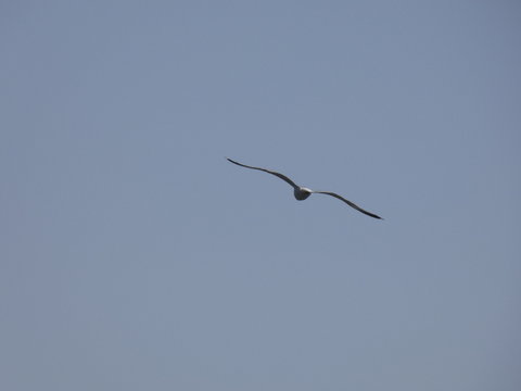 Schnorrer Bilder – Durchsuchen 164 Archivfotos, Vektorgrafiken und ...