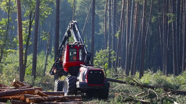 "Logging Machine" Bilder – Durchsuchen 772 Archivfotos, Vektorgrafiken ...