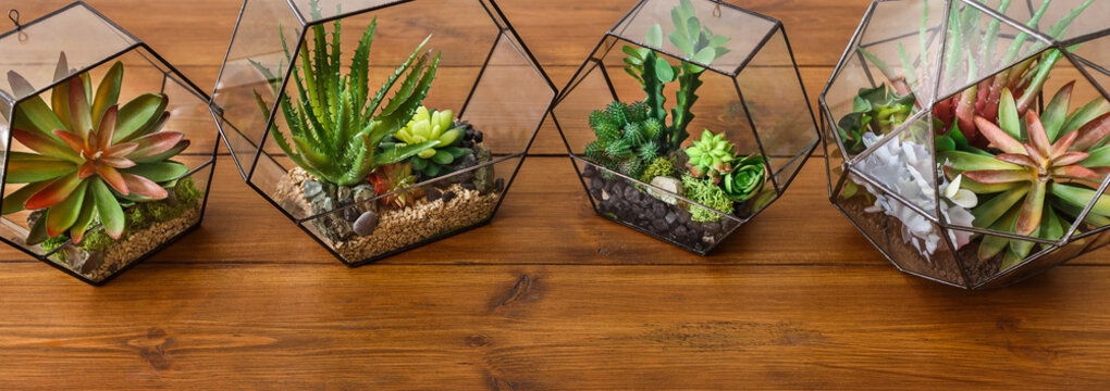 รูปภาพFlorarium – เลือกดูภาพถ่ายสต็อก เวกเตอร์ และวิดีโอ7,338 | Adobe Stock