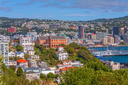 รูปภาพWellington – เลือกดูภาพถ่ายสต็อก เวกเตอร์ และวิดีโอ142,565 ...