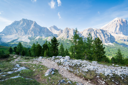 Felse Bilder – Durchsuchen 290 Archivfotos, Vektorgrafiken und Videos ...