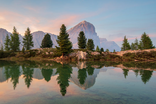 รูปภาพFelse – เลือกดูภาพถ่ายสต็อก เวกเตอร์ และวิดีโอ290 | Adobe Stock