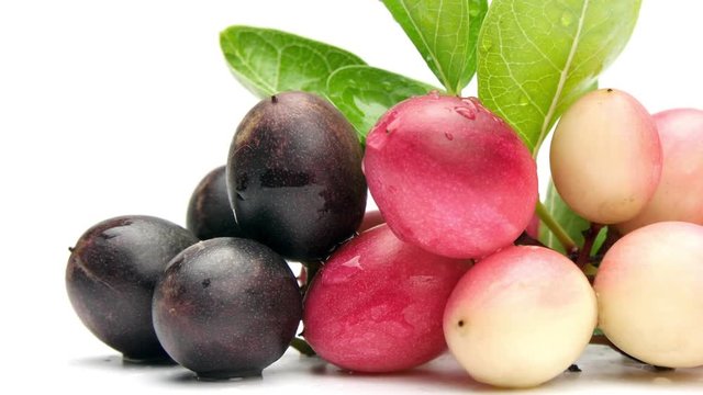 Carissa Images – Browse 2,634 Stock Photos, Vectors, and Video | Adobe ...