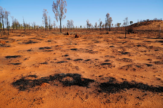 "Infertile Soil"-Bilder: Stock-Fotos & -Videos. | Adobe Stock