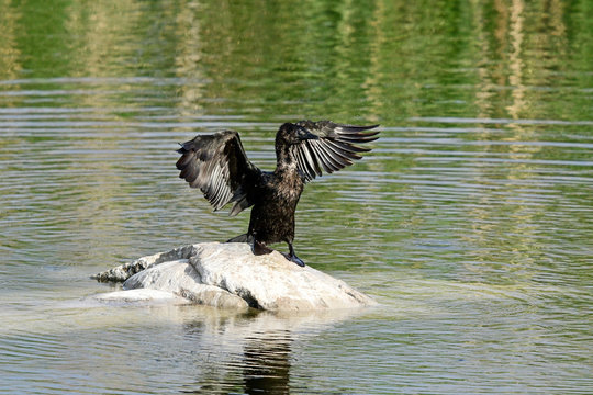 Fendak Bilder – Durchsuchen 21 Archivfotos, Vektorgrafiken und Videos ...