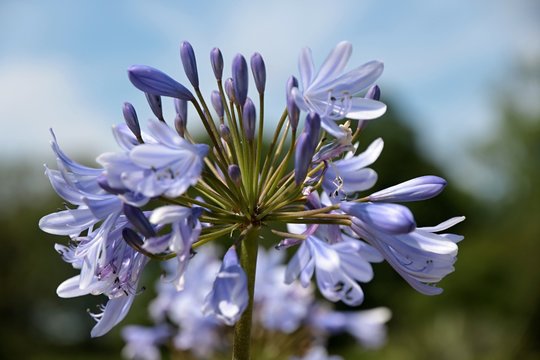 Lilla Bilder – Durchsuchen 6,118 Archivfotos, Vektorgrafiken und Videos ...