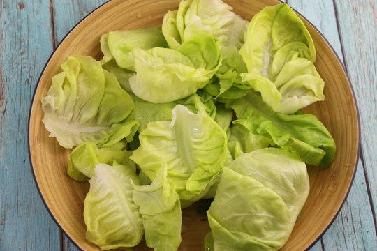 รูปภาพBol – เลือกดูภาพถ่ายสต็อก เวกเตอร์ และวิดีโอ37,791 | Adobe Stock