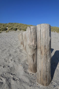 Buhlen 이미지 – 찾아보기 115 스톡 사진, 벡터 및 비디오 | Adobe Stock