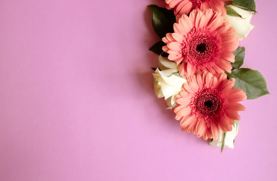 "Feminine Background" Images – Browse 2,102 Stock Photos, Vectors, and ...