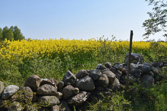 Feldsteinmauer Bilder – Durchsuchen 56,427 Archivfotos, Vektorgrafiken ...
