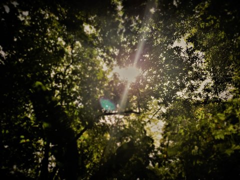 「Piture」の写真素材 | 120件の無料イラスト画像 | Adobe Stock