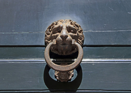 รูปภาพFrapper – เลือกดูภาพถ่ายสต็อก เวกเตอร์ และวิดีโอ1,604 | Adobe Stock