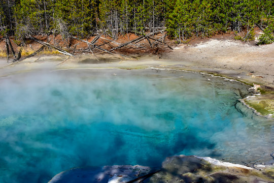 "Emerald Spring" Images – Browse 166 Stock Photos, Vectors, and Video ...